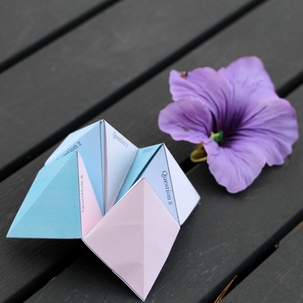 Jeu pédagogique - la cocotte de révisions modifiable et imprimable